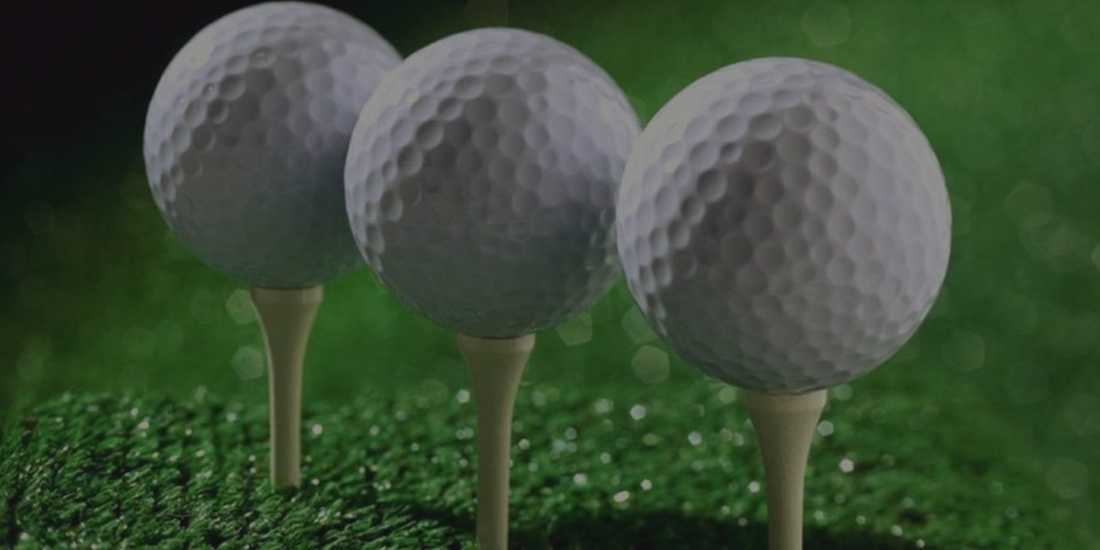 Southern Links, Inc. - Premier Golf Course Supplies & Backyard Putting